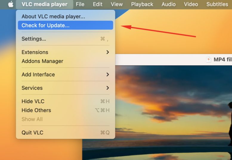 VLC is Not Playing MP4? Reasons and How to Fix it.